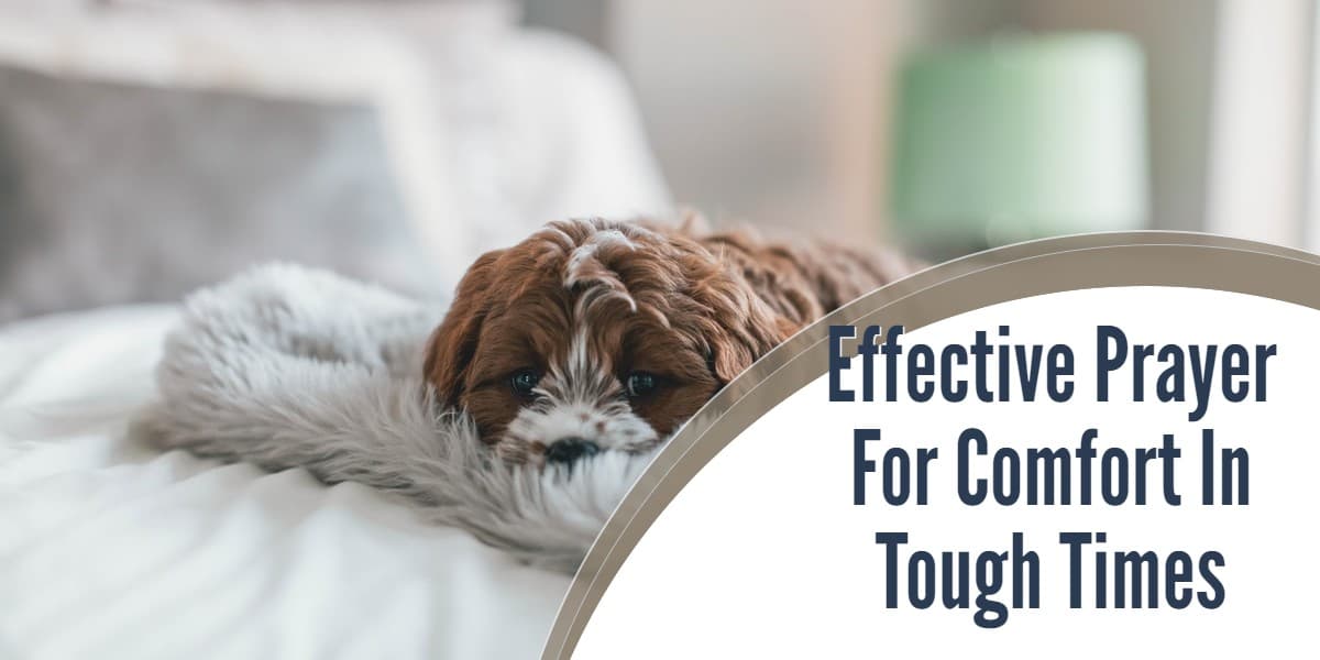 Effective Prayer For Comfort In Tough Times - ChristiansTT